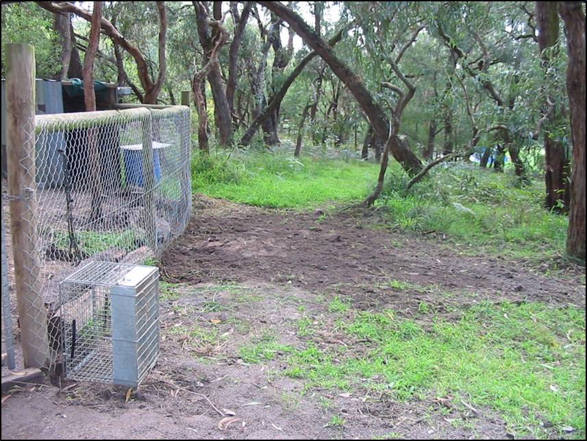 Enclosures | Wombat Welfare